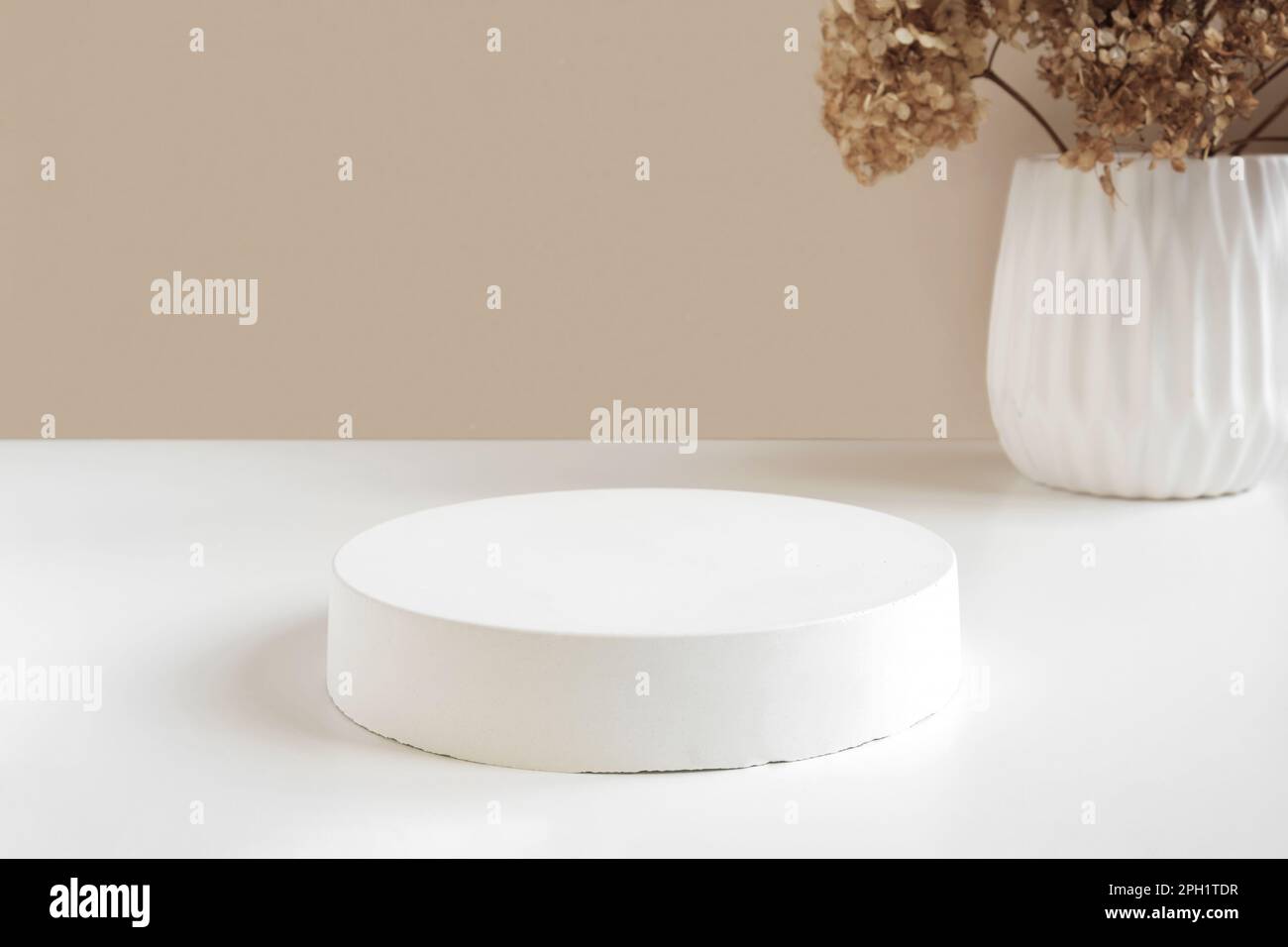 Podium for cosmetic product presentation and dry hydrangea flowers in ...