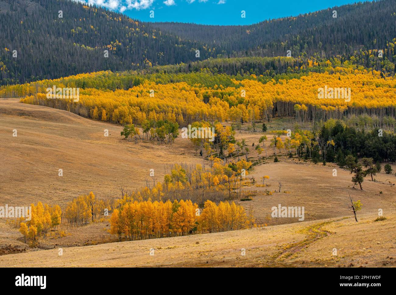 A beautiful view of the Colorado high country in late September with ...