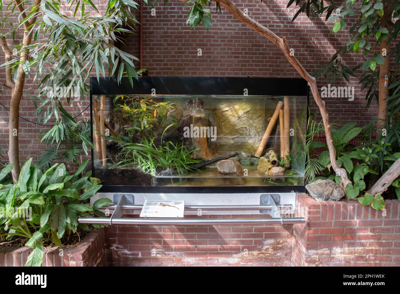 Inside Reptile House At The Artis Zoo At Amsterdam The Netherlands 24-3 ...