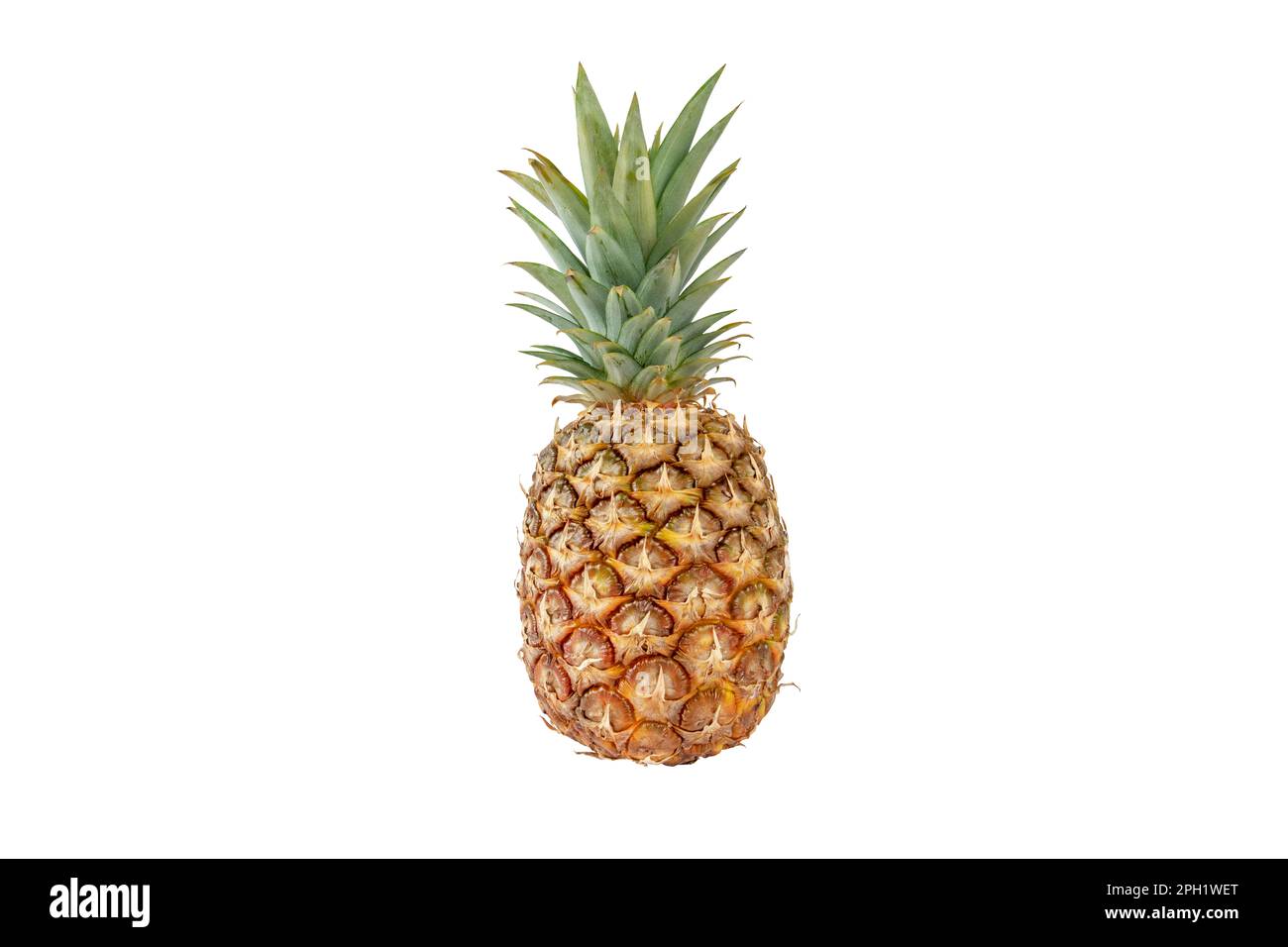 Pineapple tropical whole fruit isolated on white. Ripe Ananas comosus ...