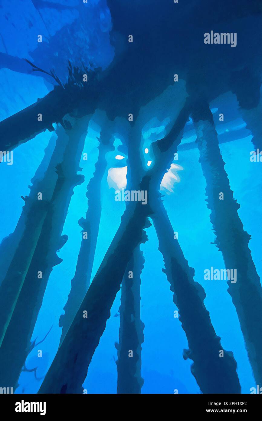 Digitally created watercolor painting of an maritime pier from a SCUBA ...