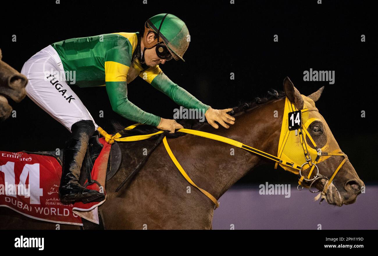 Jockey Yuga Kawada pats Ushba Tesoro after winning the $12 million ...