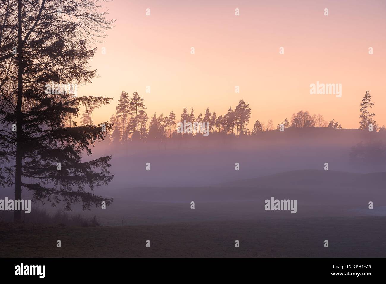 The beauty of nature is illuminated by the gentle morning sun, creating ...