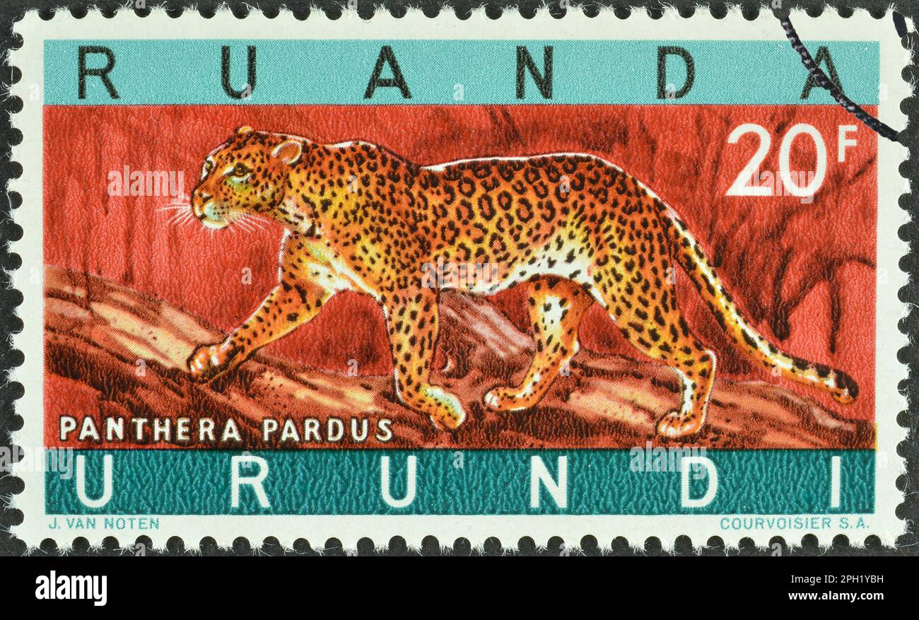 Cancelled postage stamp printed by Rwanda, that shows Leopard (Panthera ...
