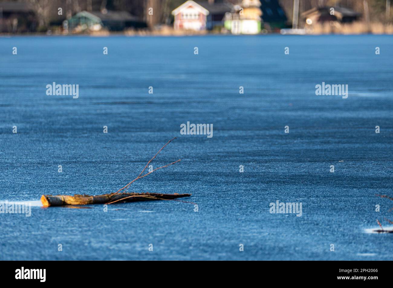 Log floating in sea hi-res stock photography and images - Alamy