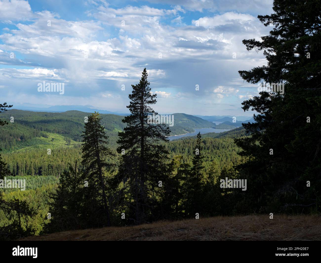 Volunteer built trail system hi-res stock photography and images - Alamy