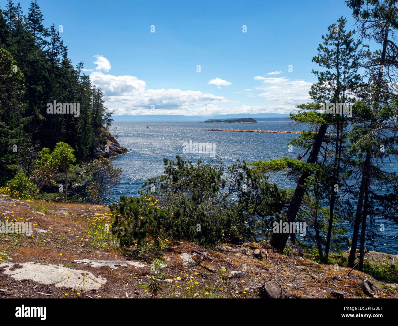 BC00659-00...BRITISH COLUMBIA - The Strait of Georgia viewed from Sarah ...