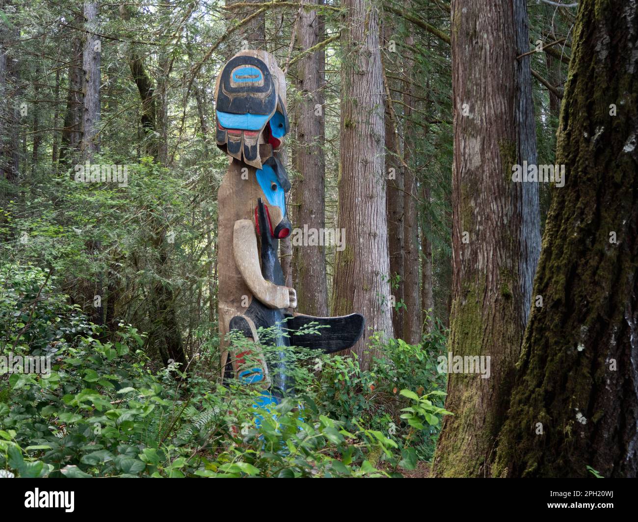 Traditional territory of the klahoose and homalco first nations hi-res ...