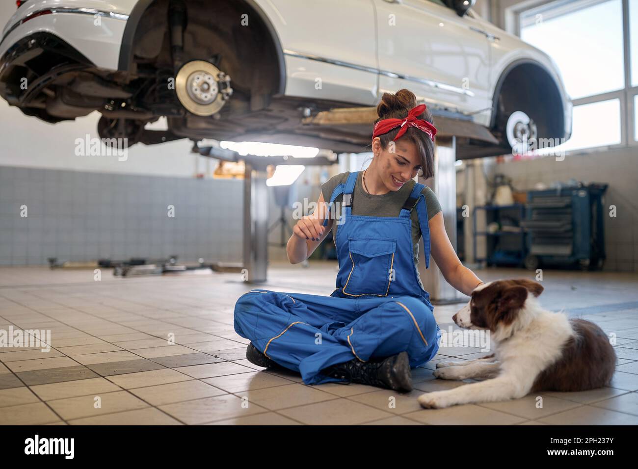 Young female mechanik cuddle nice dog in car workshop Stock Photo - Alamy