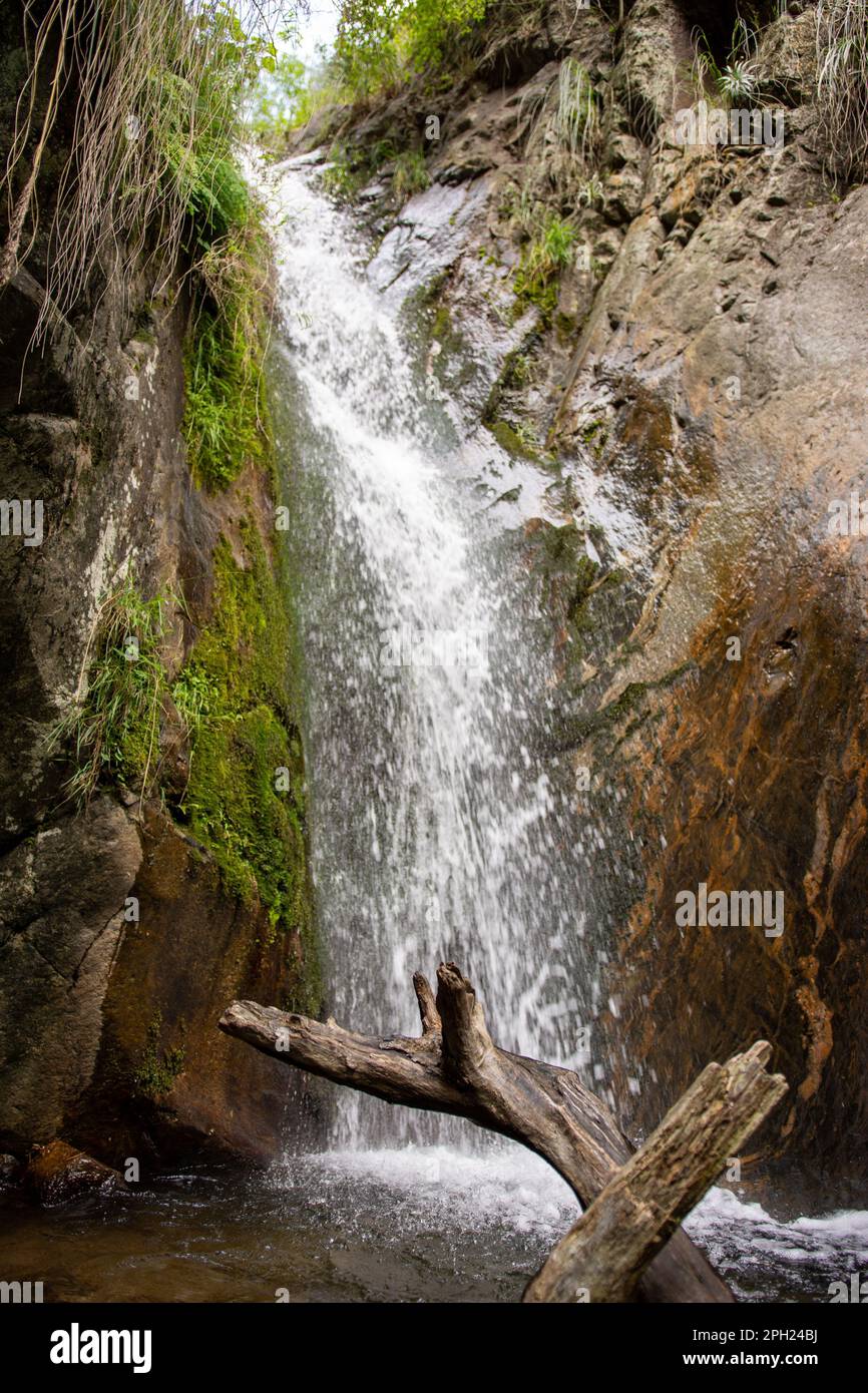 A scenic view of a waterfall cascading over an isolated tree in a lush ...
