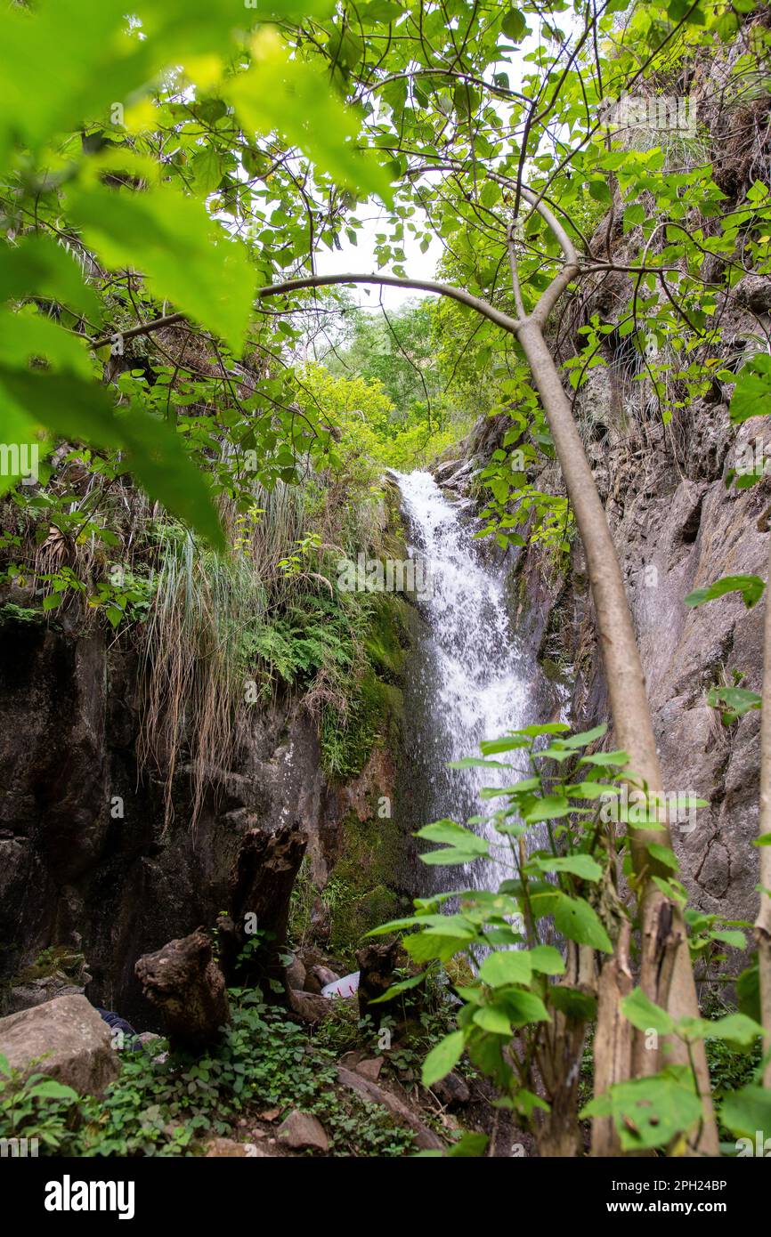 A breathtaking nature scene of a rushing waterfall cascading down among ...