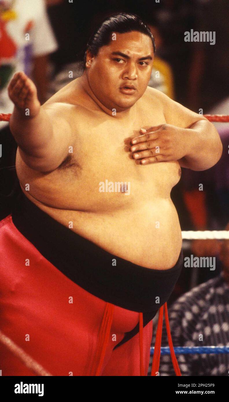 1985 Yokozuna Photo by John Barrett/PHOTOlink Stock Photo - Alamy