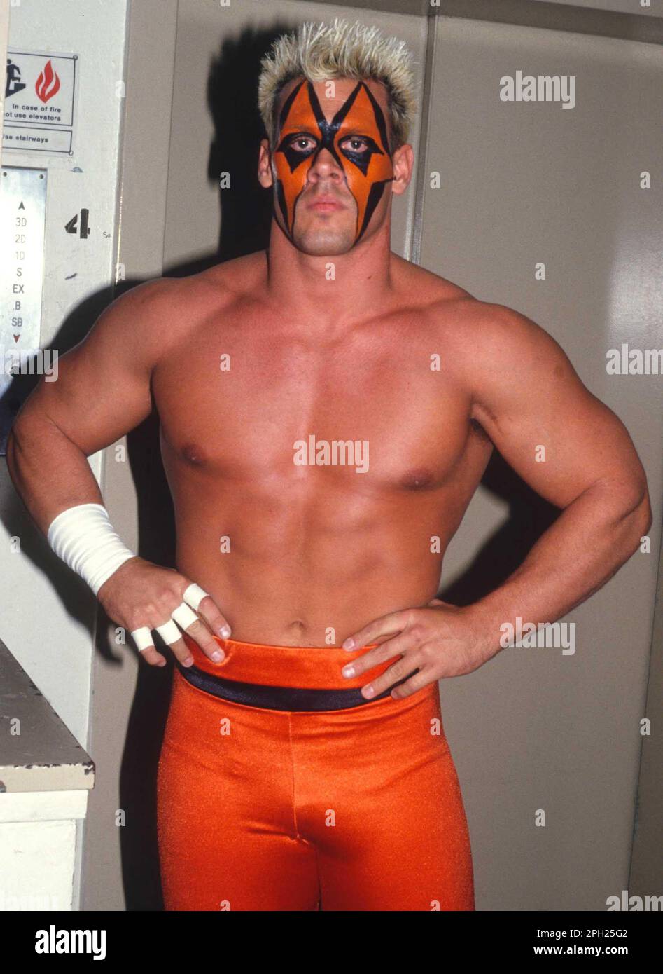 1987 Sting Photo by John Barrett/PHOTOlink Stock Photo - Alamy