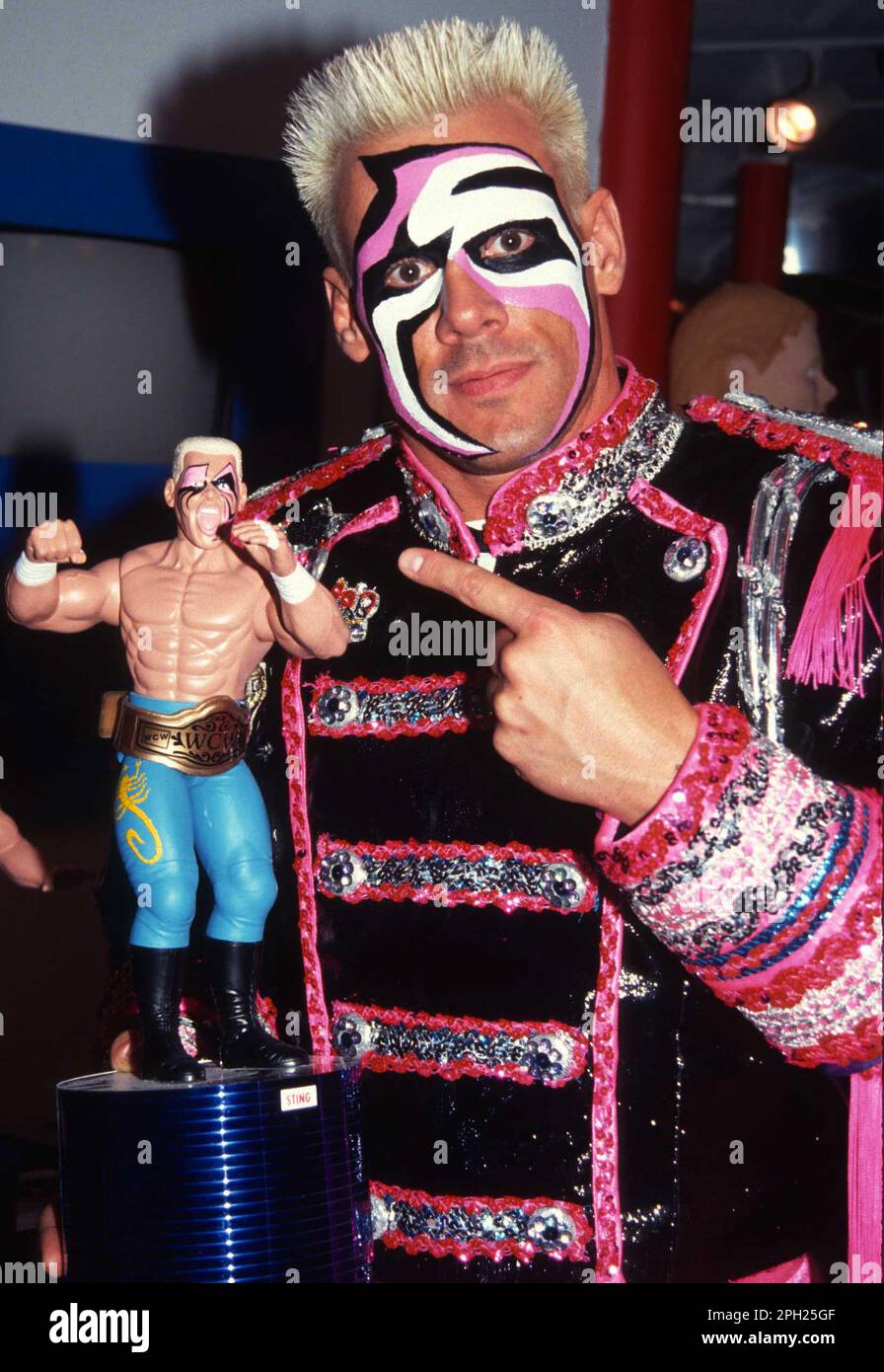 Pink Surfer Sting