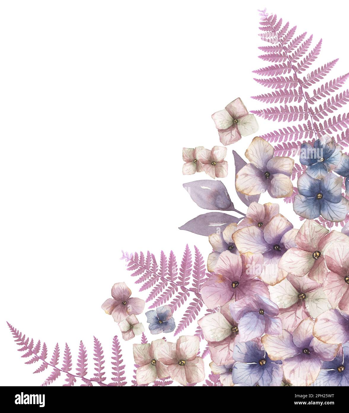 Watercolor blue hydrangea flowers and fern corner border. garden ...