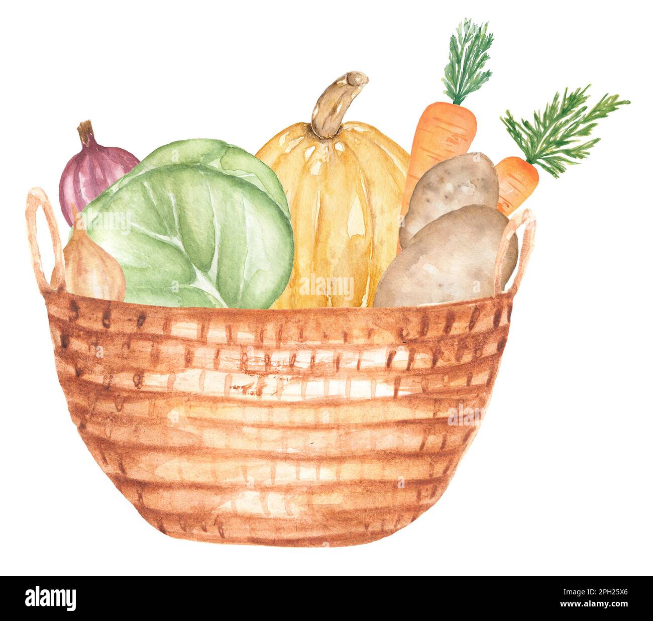 Fall Harvest Vegetables Clip Art Harvest Vegetables Vector Images