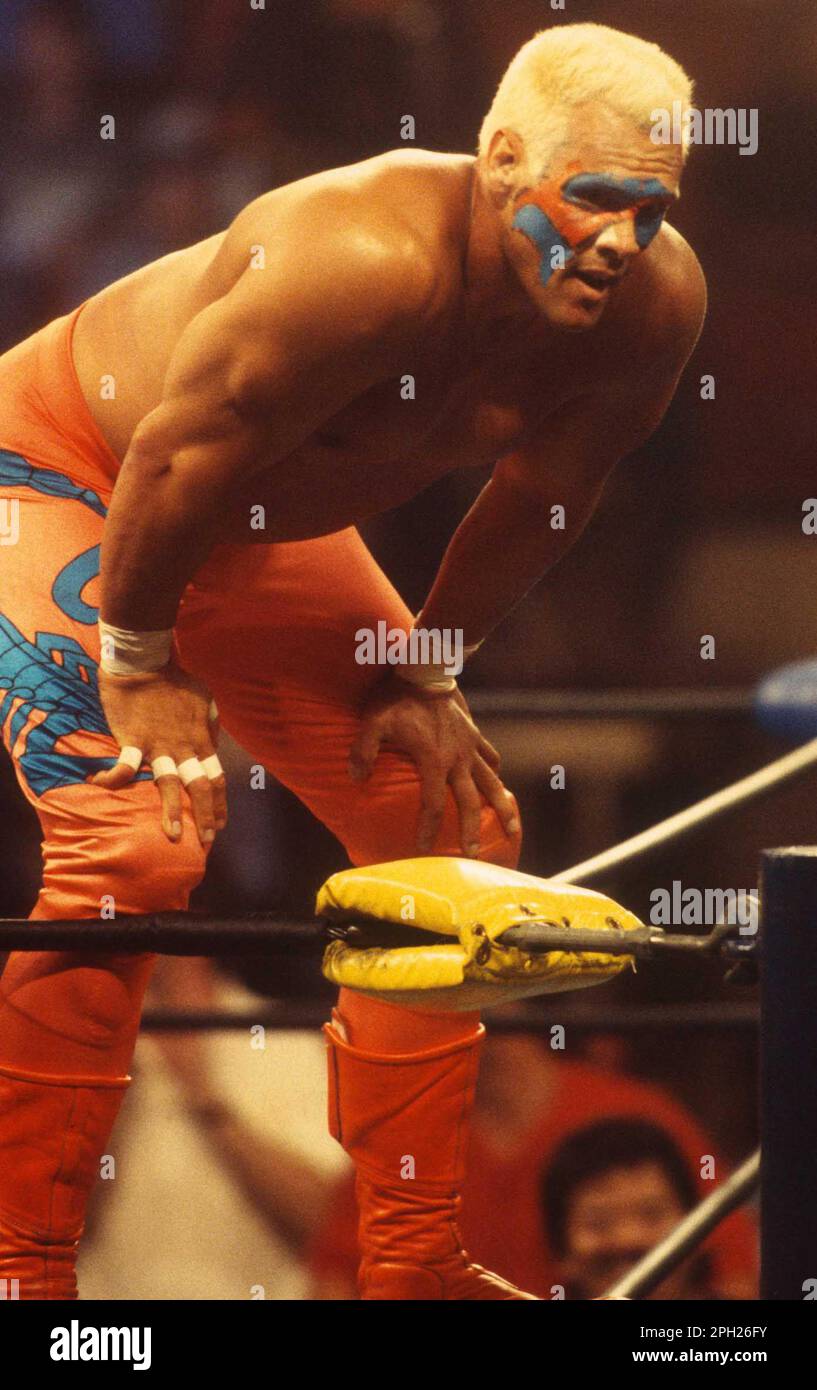 1995 Sting Photo by John Barrett/PHOTOlink Photo via Credit: Newscom ...