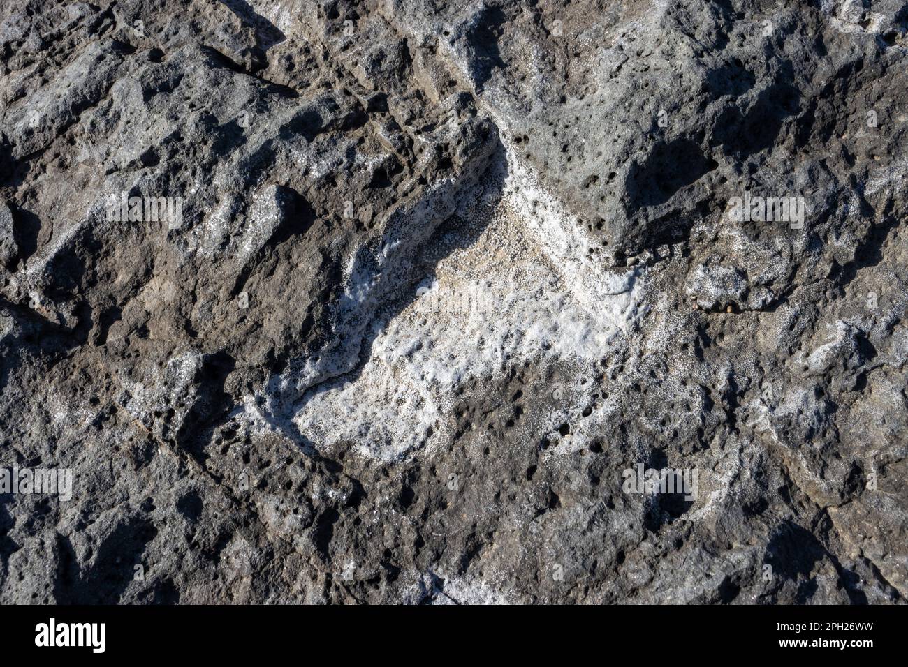 Black rocks on the coast of Atlantic ocean. Crystals of sea salt ...