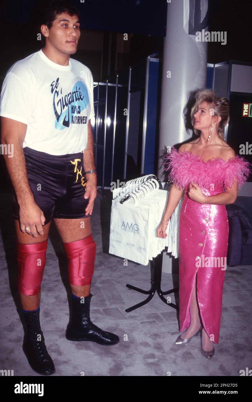 1993 Gonzales The Giant Miss Hyatt Photo by John Barrett/PHOTOlink ...