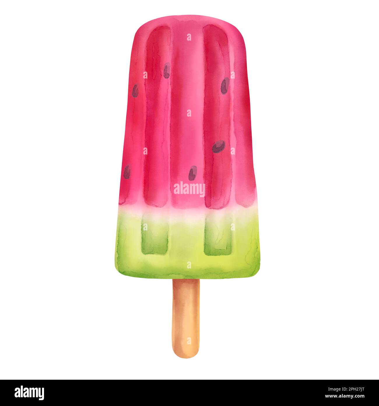 watermelon popsicles. fruit popsicle watercolor hand drawn illustration ...