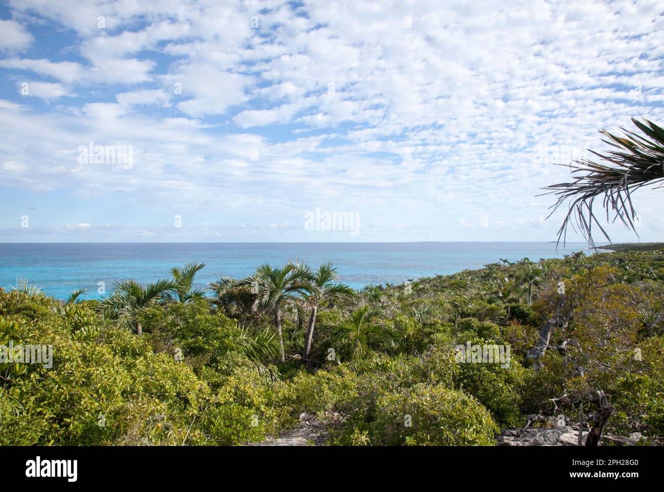 The scenic view from the highest point on Half Moon Cay uninhabited ...