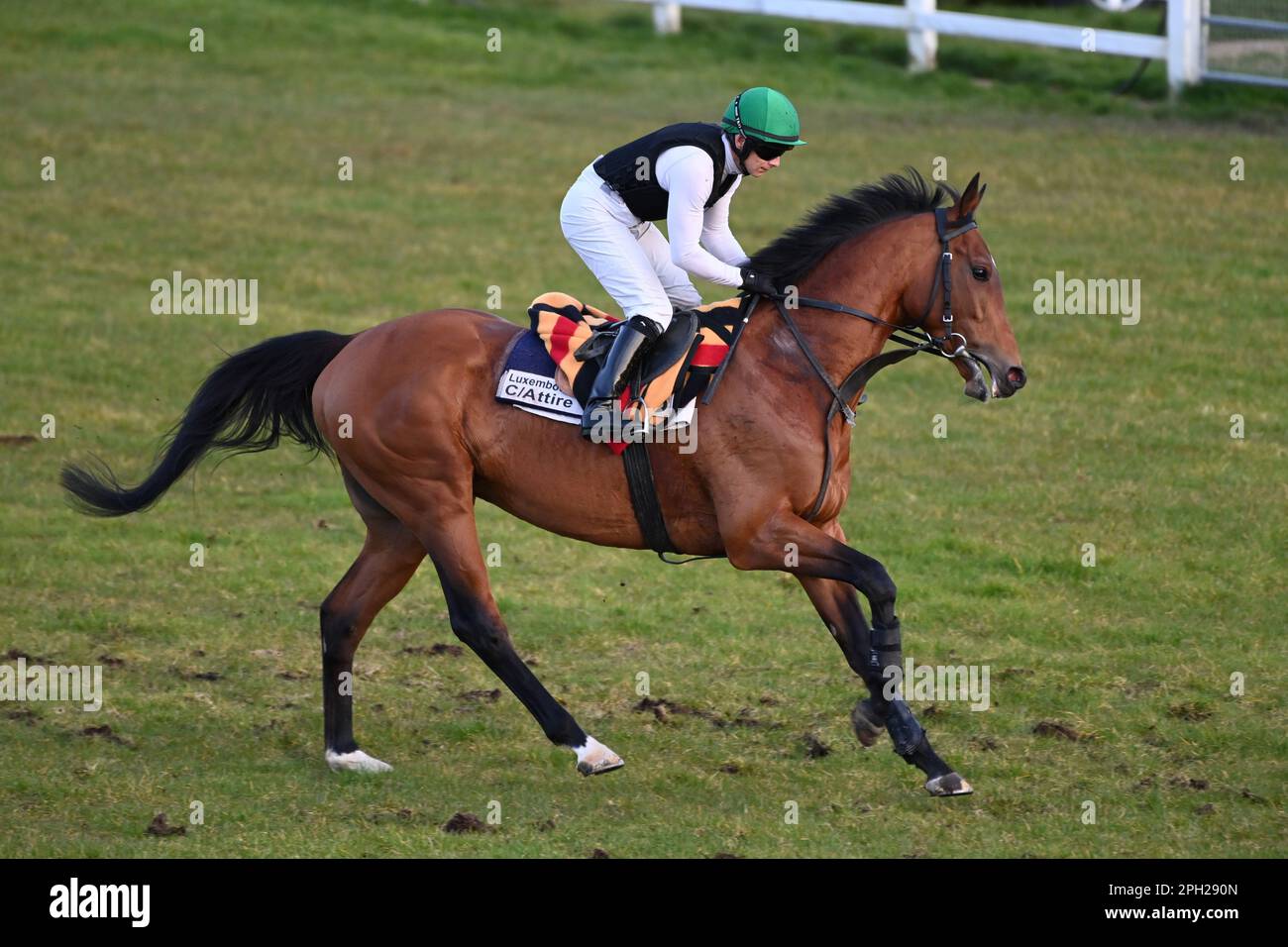 Champion Stakes winner Luxembourg is worked out by jockey Wayne Lordan ...