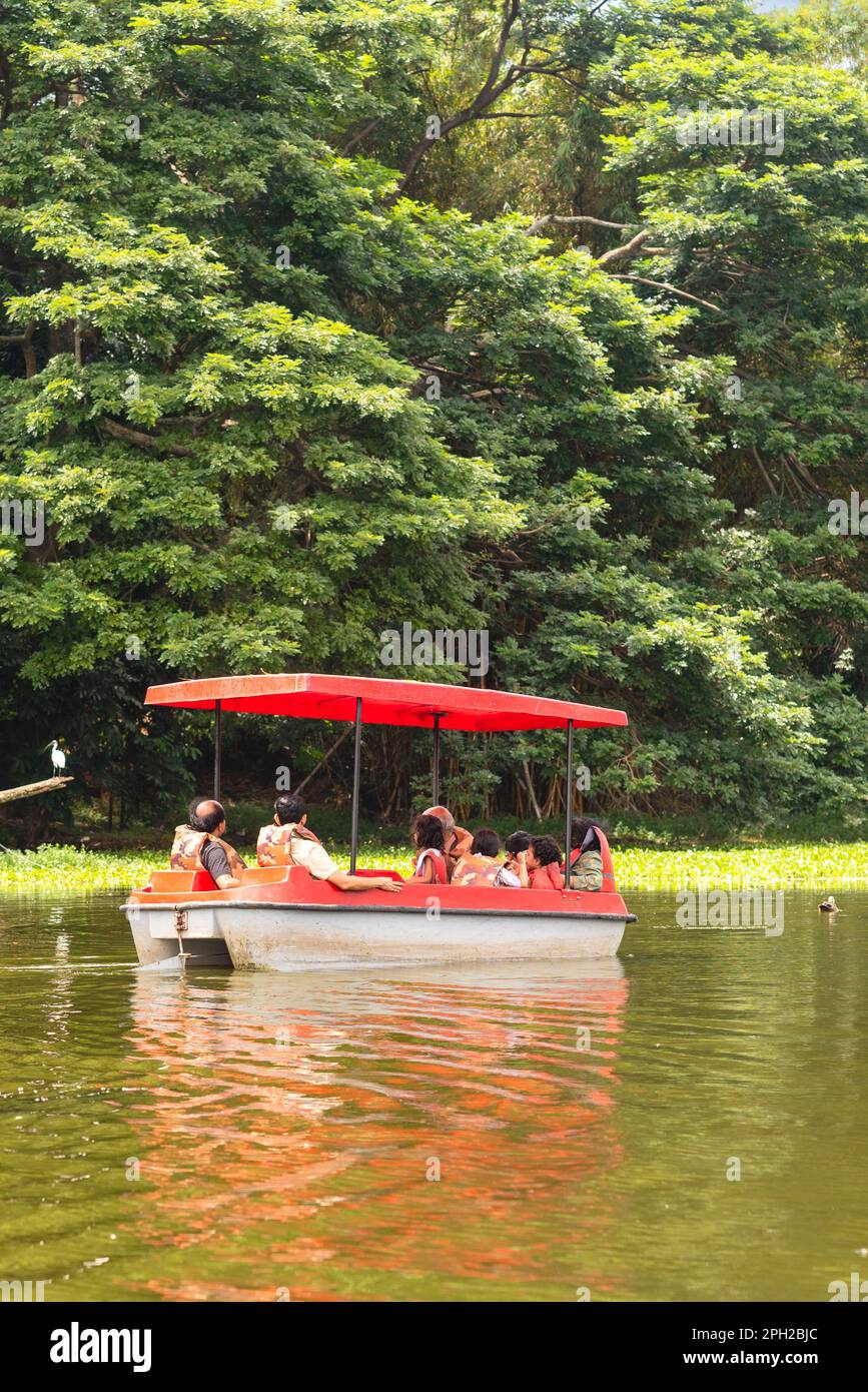 Karanji Nature Park Mysore Karnataka India September 1 2022 Birds on ...