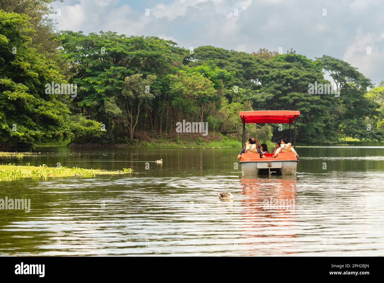 Karanji Nature Park Mysore Karnataka India September 1 2022 Birds on ...