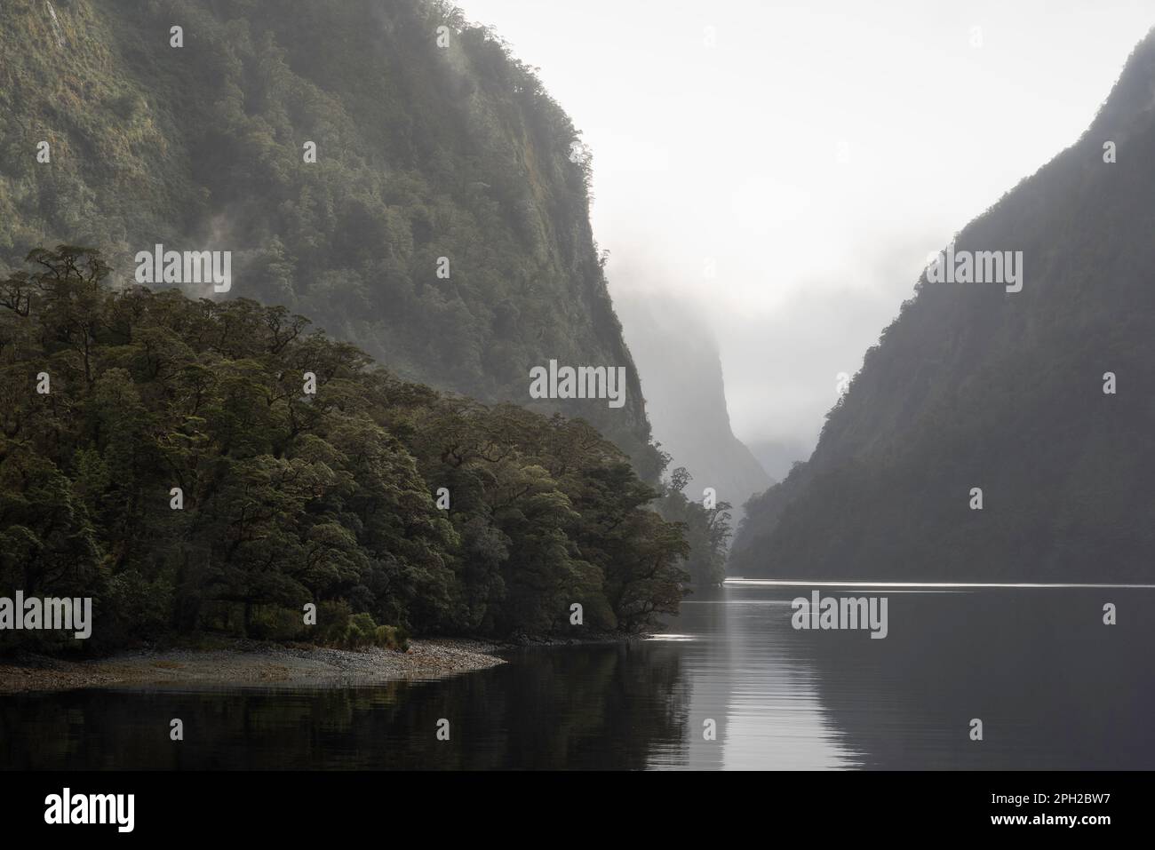 The mysterious misty fjord of the Doubtful Sound gives off Jurassic ...