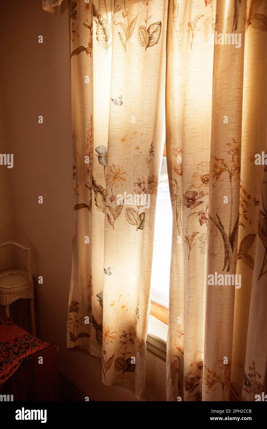 Peeking out the window hi-res stock photography and images - Alamy