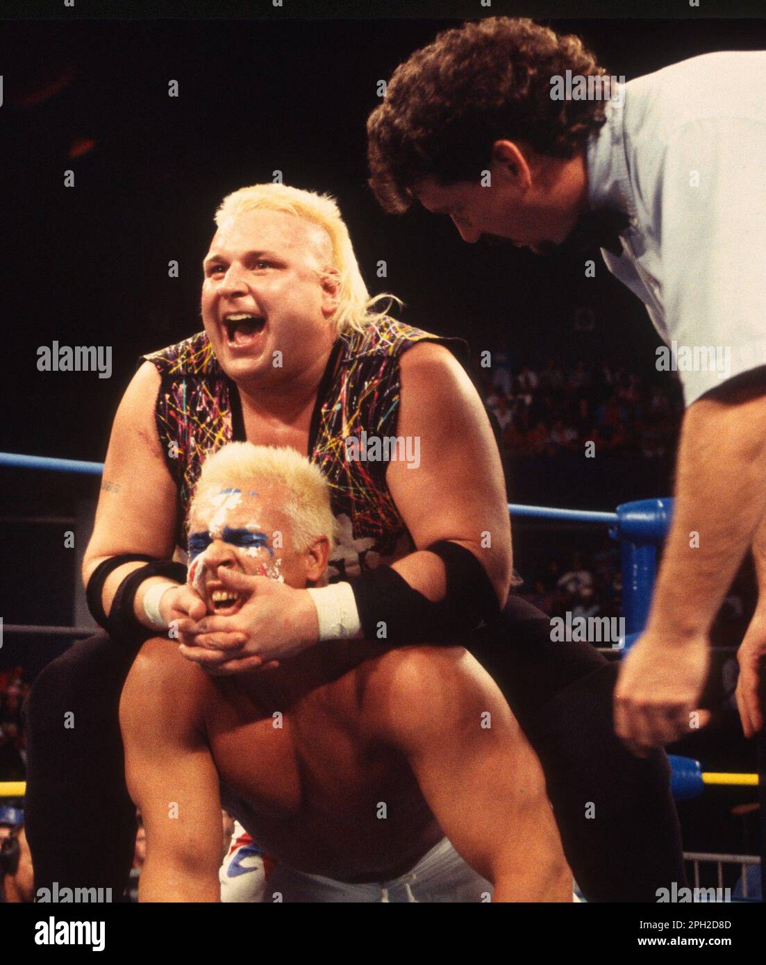 1993Sting Nasty Boys Photo by John Barrett/PHOTOlink / MediaPunch Stock ...