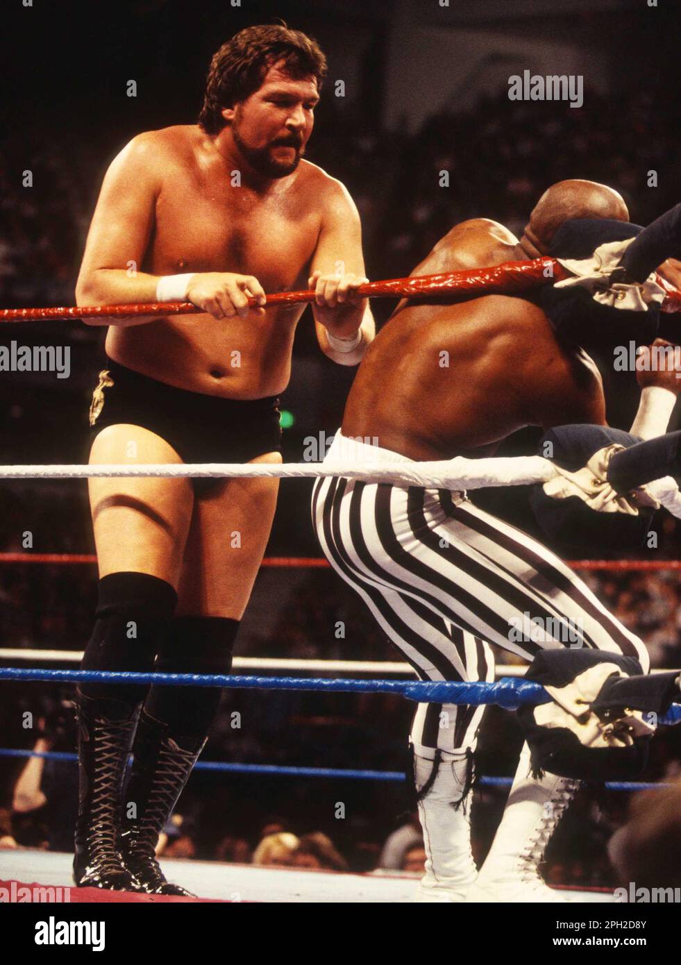 1993Ted DiBiase Virgel Photo by John Barrett/PHOTOlink / MediaPunch ...