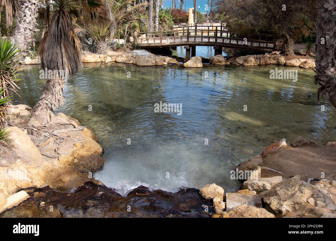 Parc El Palmerar in the coastal city of Alicante,Spain Stock Photo - Alamy