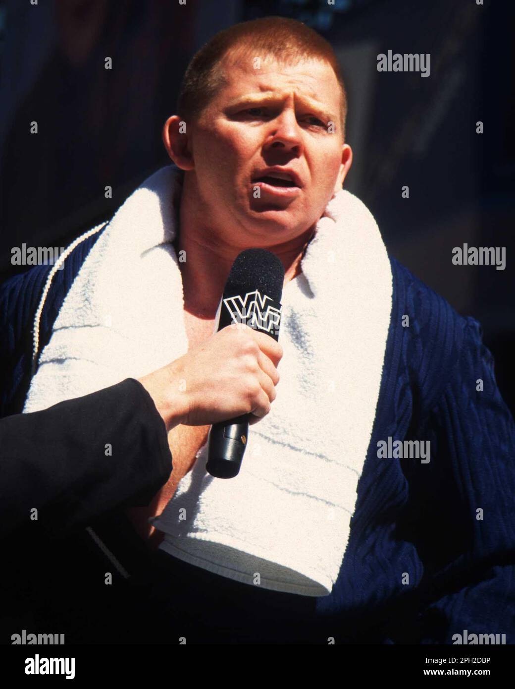 1995Bob Backlund Photo by John Barrett/PHOTOlink / MediaPunch Stock ...