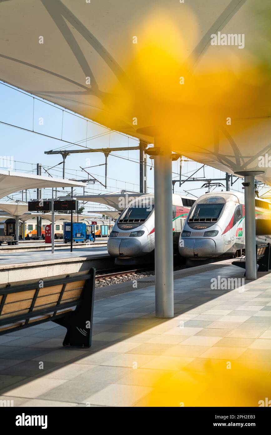 Al Boraq trains in Tangier railway station in Morocco Stock Photo - Alamy