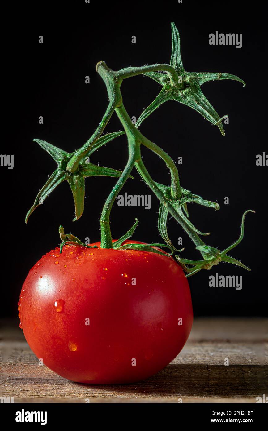 Red tomato on the vine. Close up, portrait style Stock Photo - Alamy