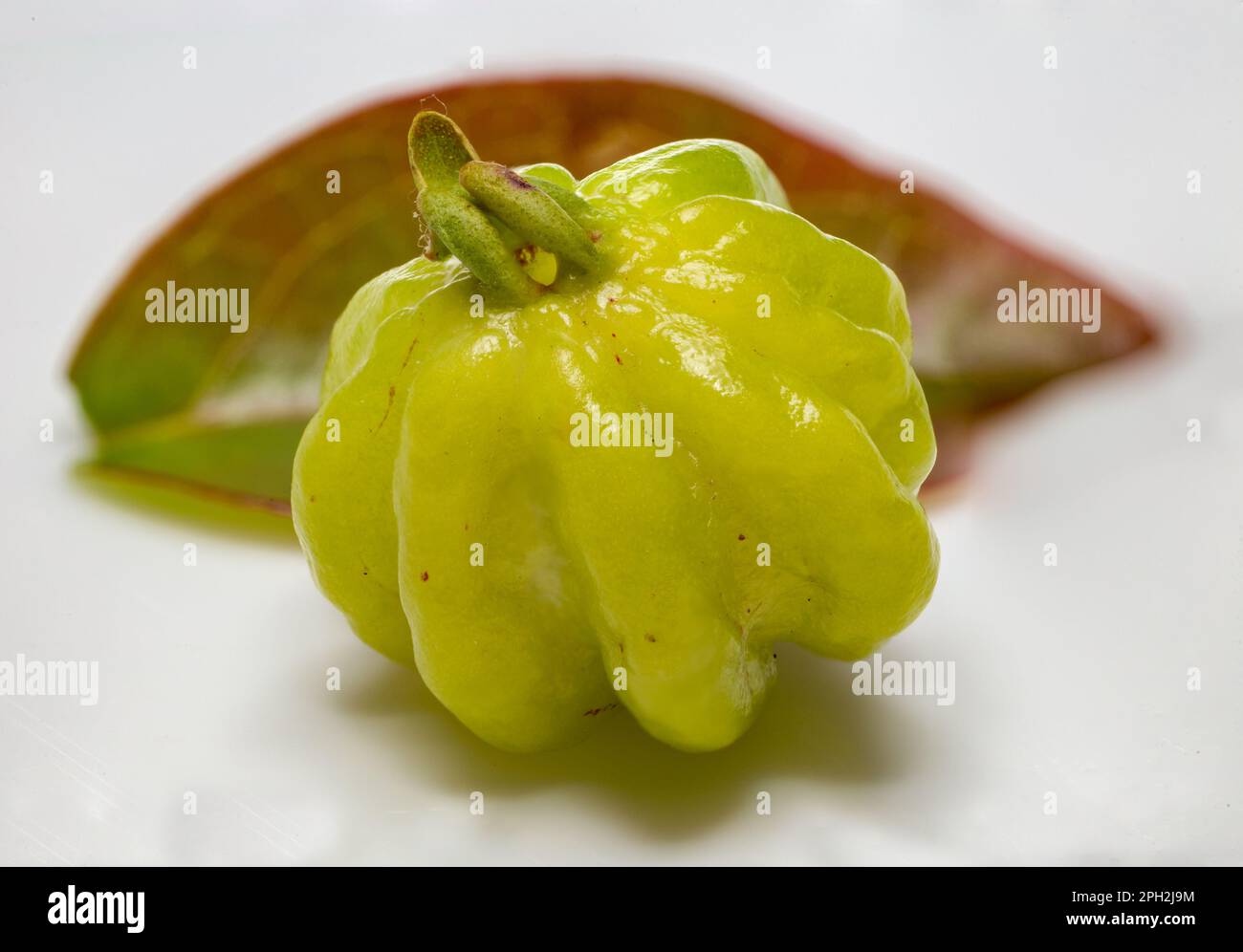 Unripe pitanga fruit (Eugenia uniflora L.), traditional Brazilian wild ...
