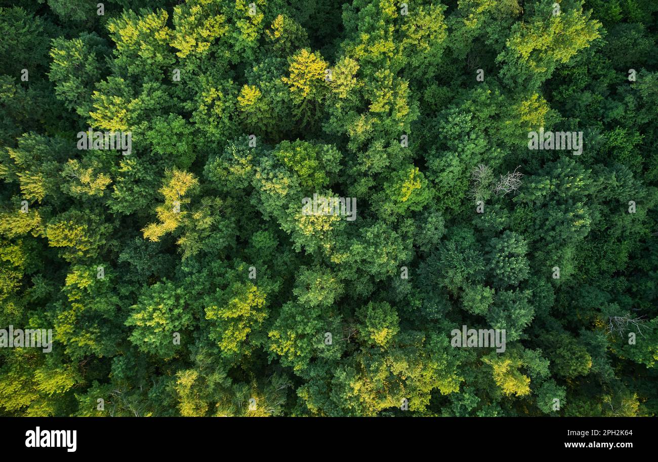 Beautiful aerial landscape on green backdrop. Beautiful scenery ...