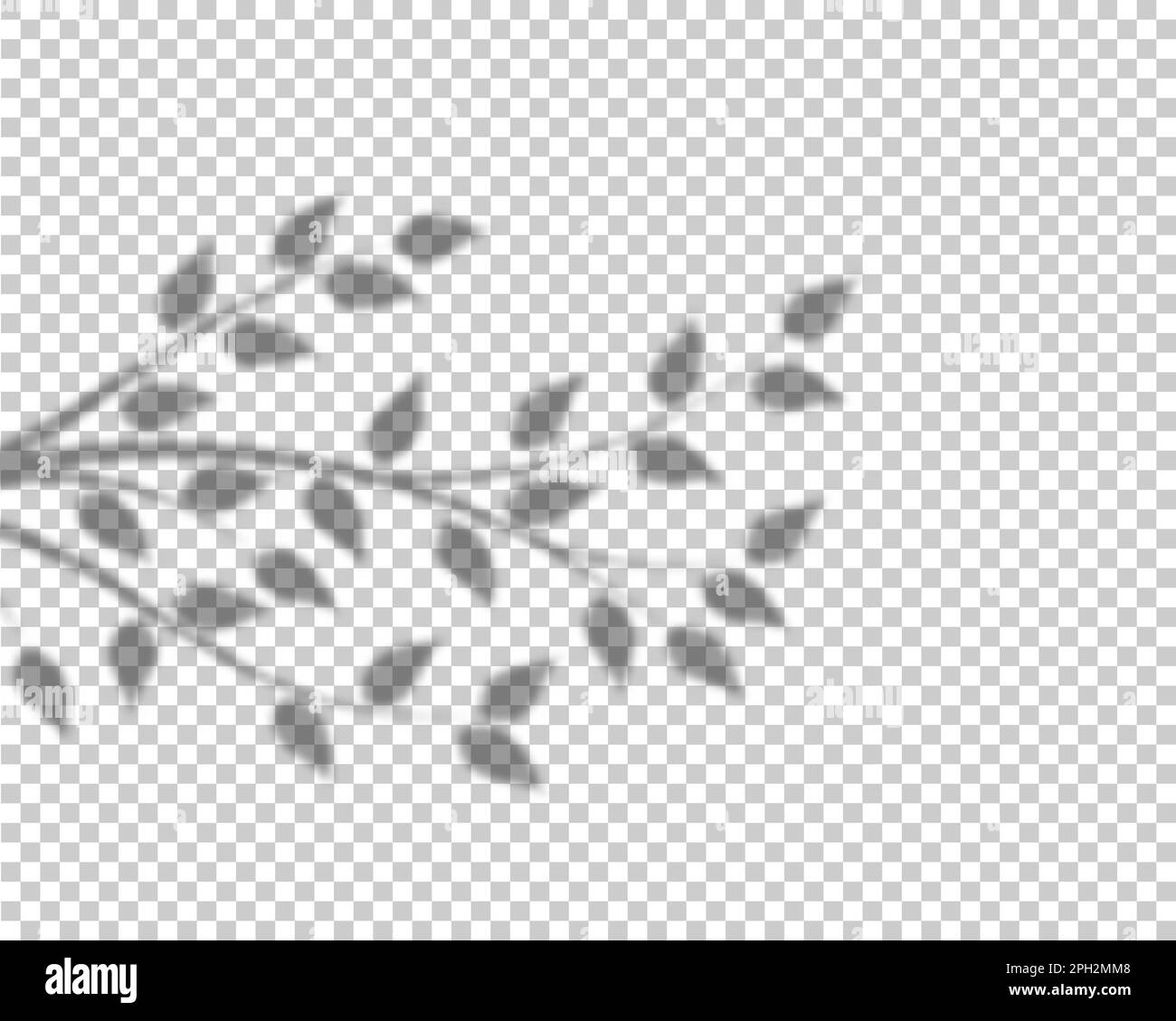 Shadow of the branch leaves on a wall background Stock Vector Image ...