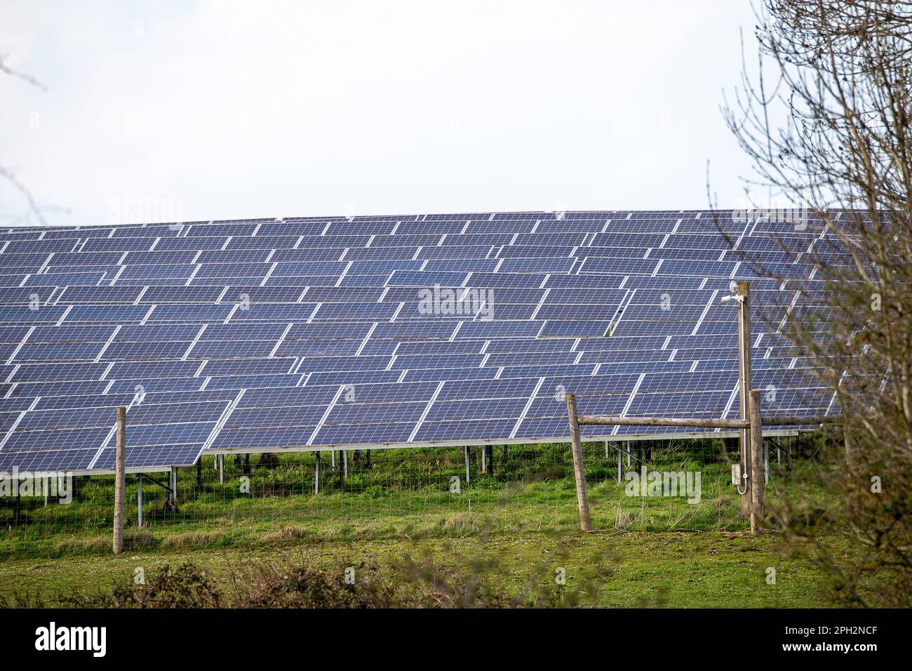 Wraysbury, Berkshire, UK. 25th March, 2023. The Wraysbury Solar Farm ...