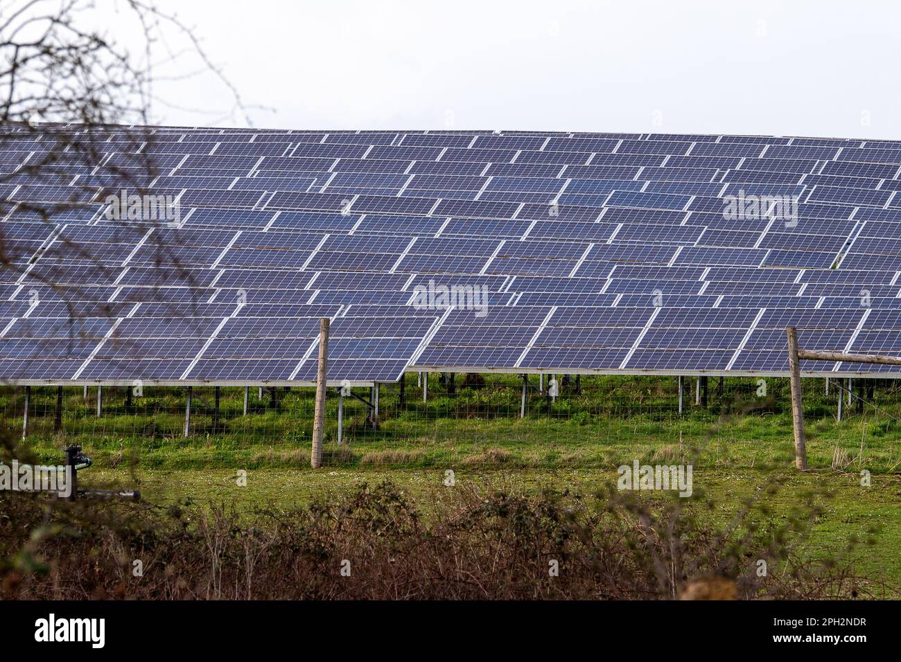 Wraysbury, Berkshire, UK. 25th March, 2023. The Wraysbury Solar Farm ...