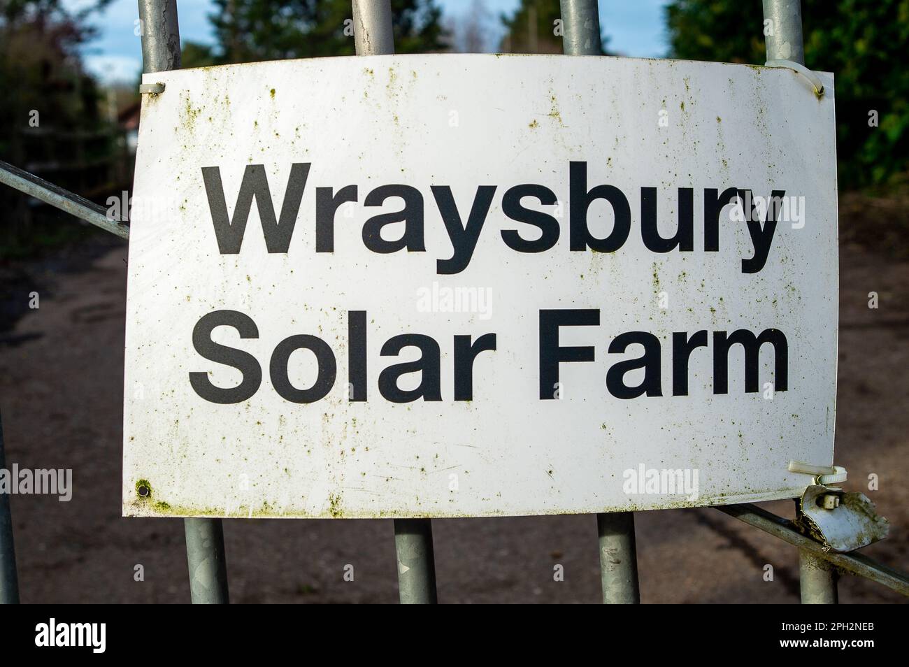Wraysbury, Berkshire, UK. 25th March, 2023. The Wraysbury Solar Farm ...
