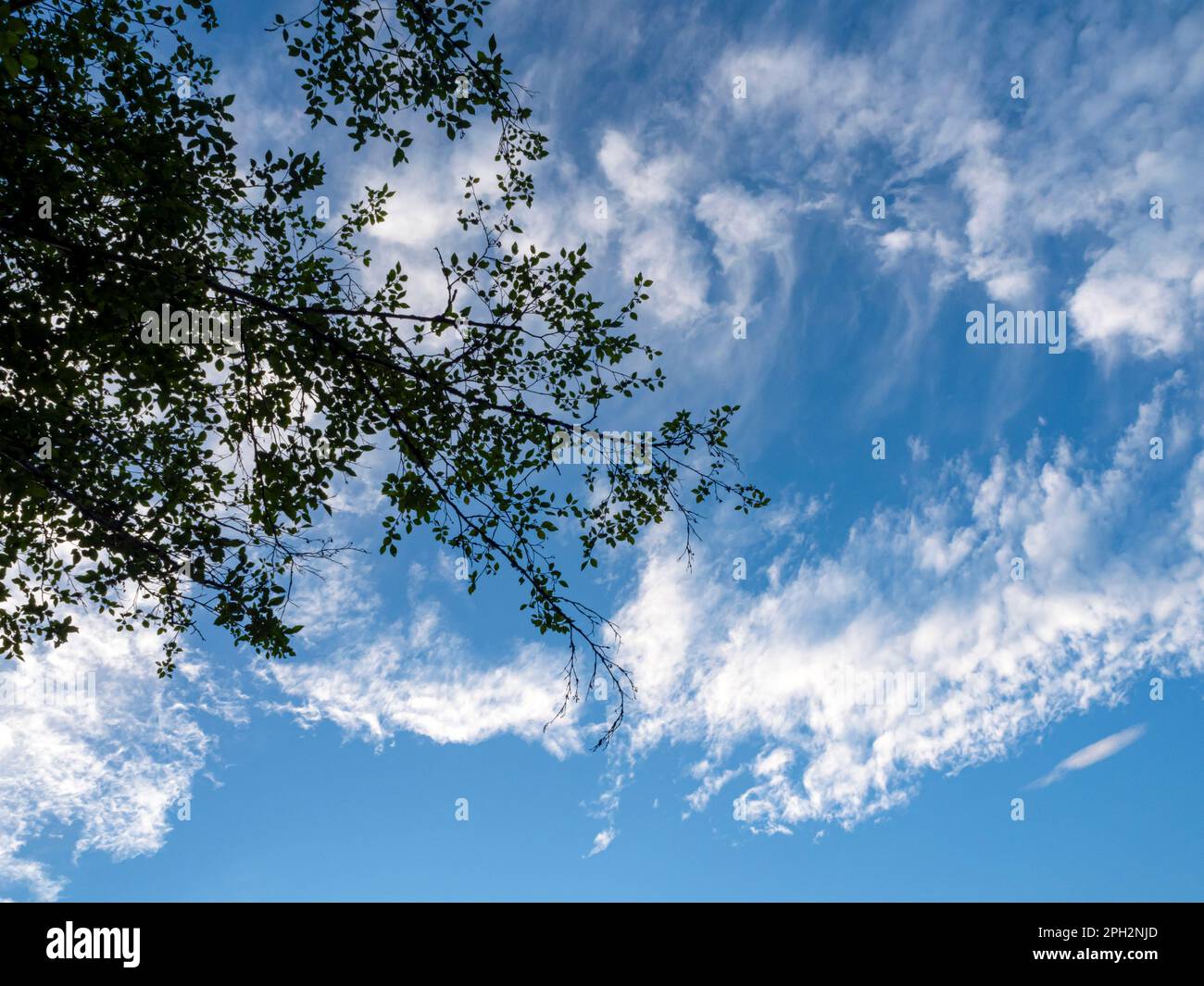 Lois lake recreation site hi-res stock photography and images - Alamy