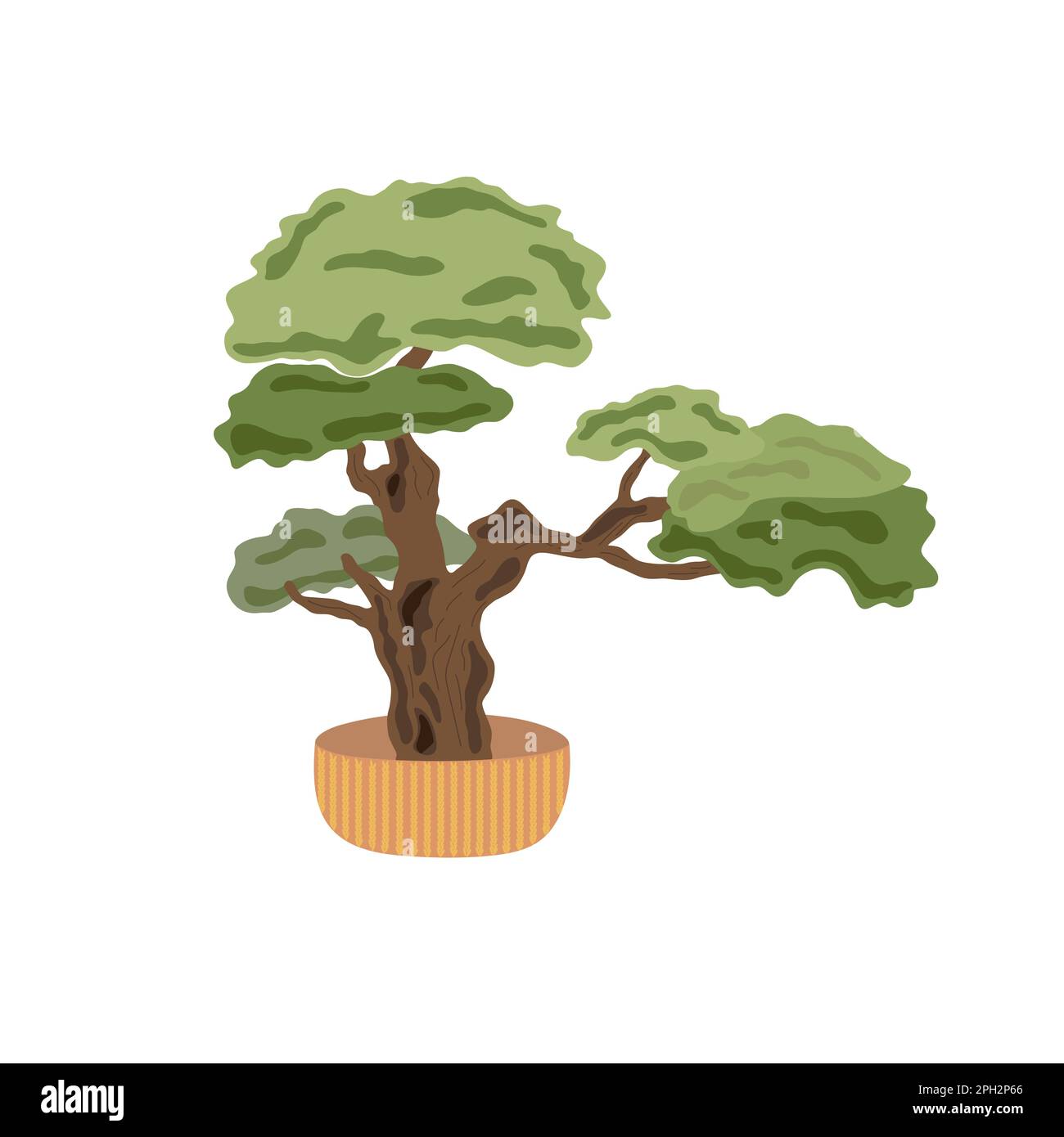 Decorative bonsai tree in a flower pot, domestic plant simple cartoon ...