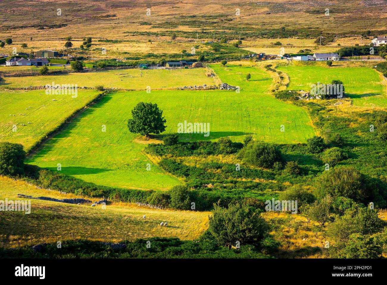 Glencullen Valley Located in Wicklow Mountains Stock Photo - Alamy