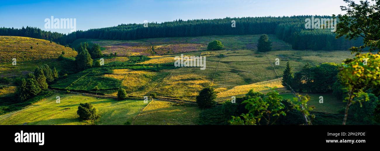 Glencullen Valley Located in Wicklow Mountains Stock Photo - Alamy