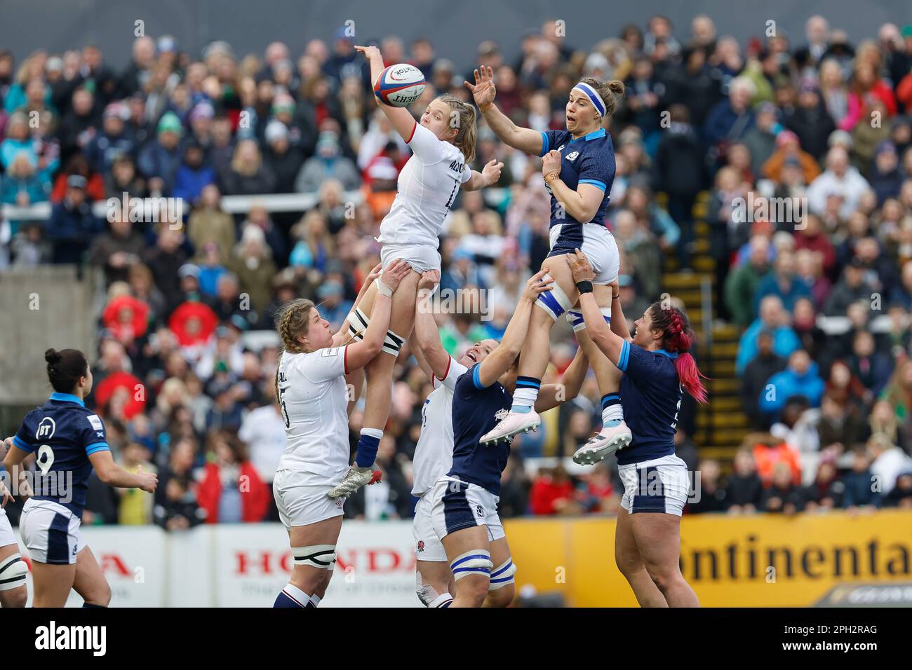 Malcolm ball hi-res stock photography and images - Alamy