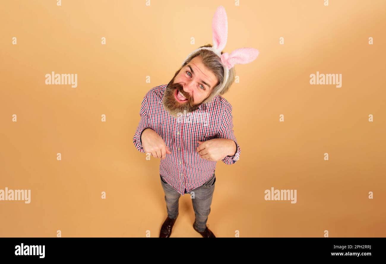 Rabbit man. Easter day celebration. Funny bearded man in bunny ears ...
