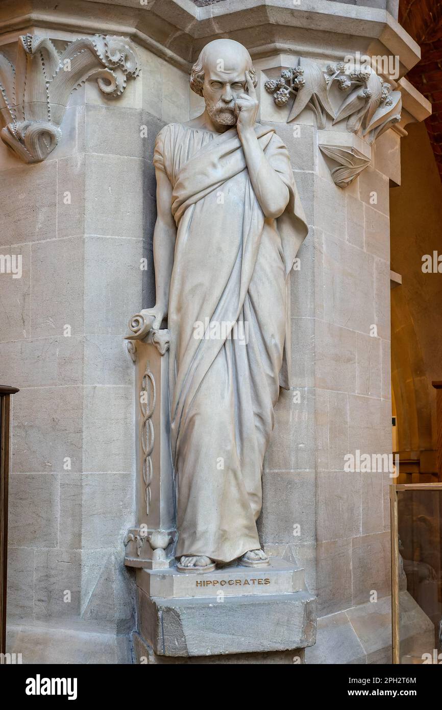 Statue of Hippocrates in The university of Oxford Museum of natural ...