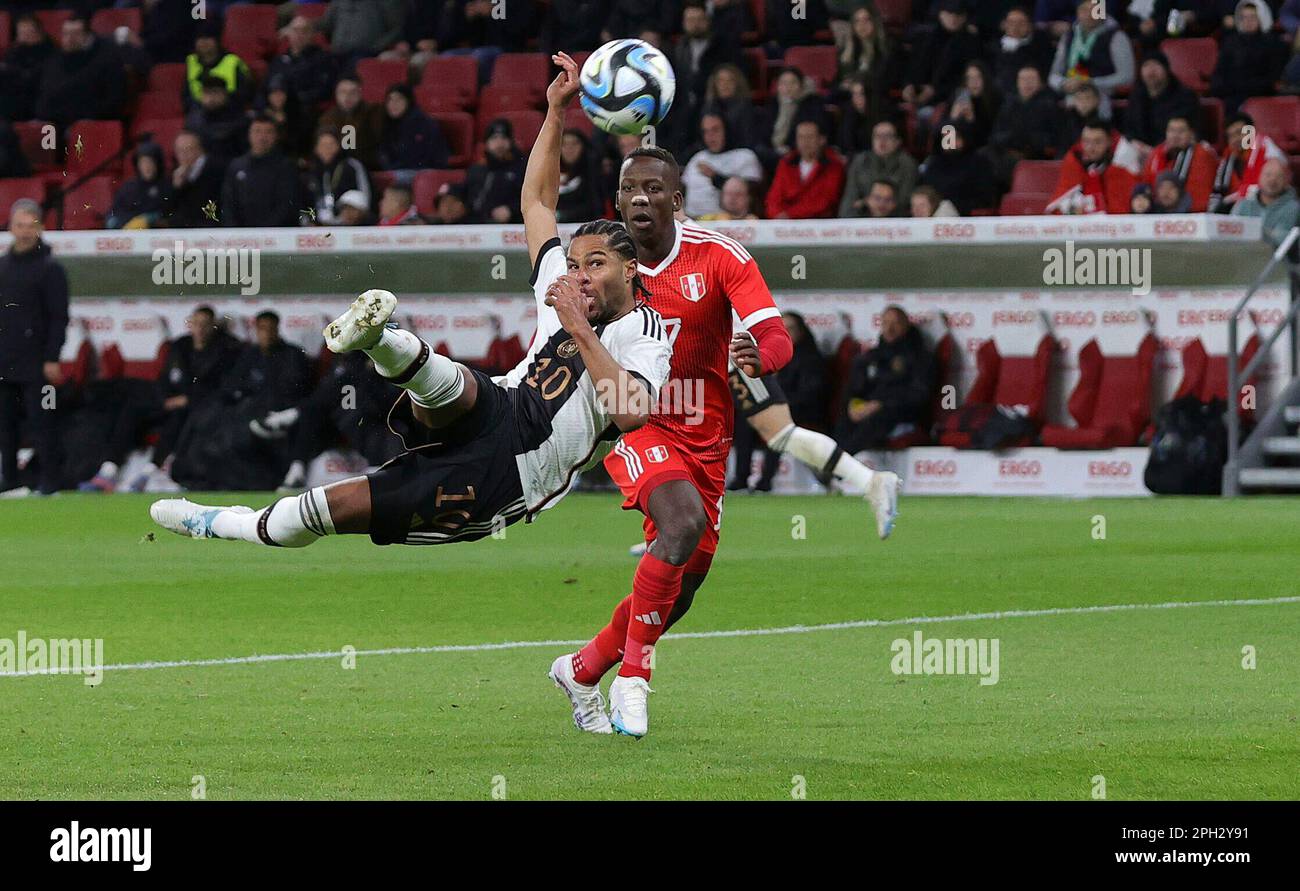 Mens national team of peru hi-res stock photography and images - Alamy